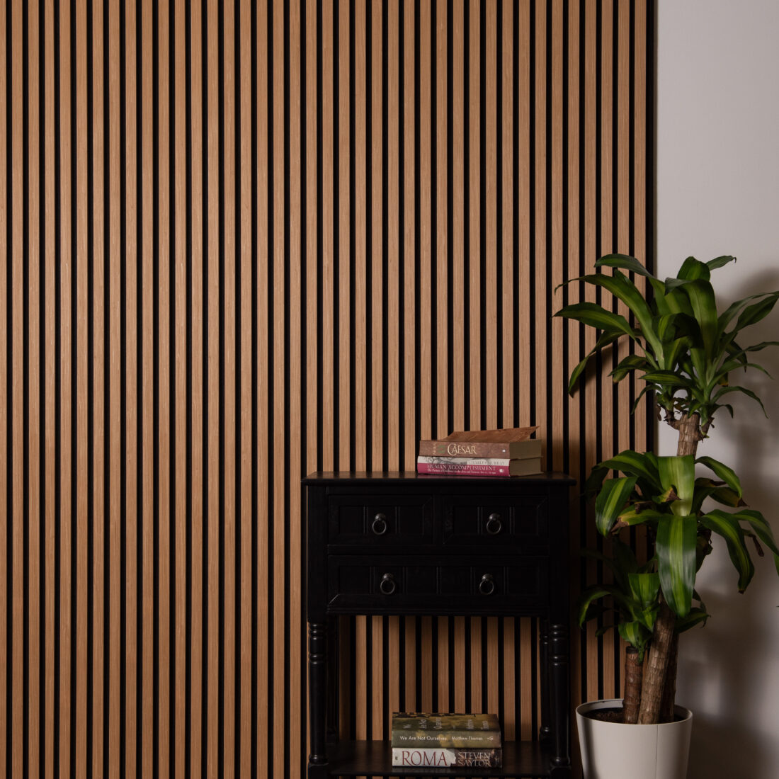 Premium Wall Panels and Decor – Shop Now at Panel Decor Hub